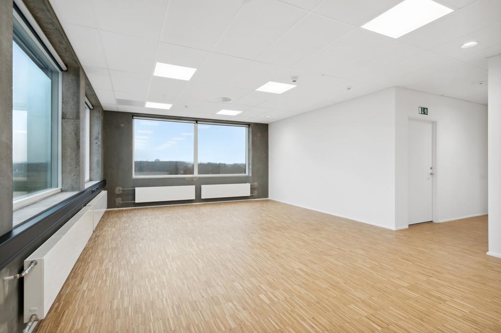 Cortex Park Vest 4, 4. 5230 Odense M, Odense Nordicals